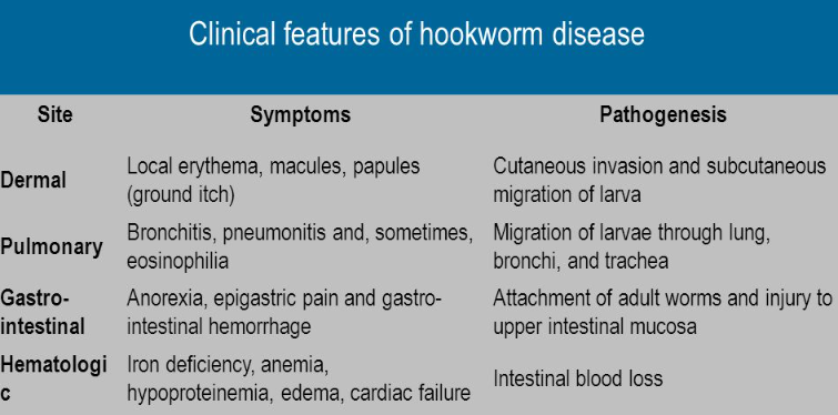Worms – pinworm, hookworm, roundworm, whipworm – My notes