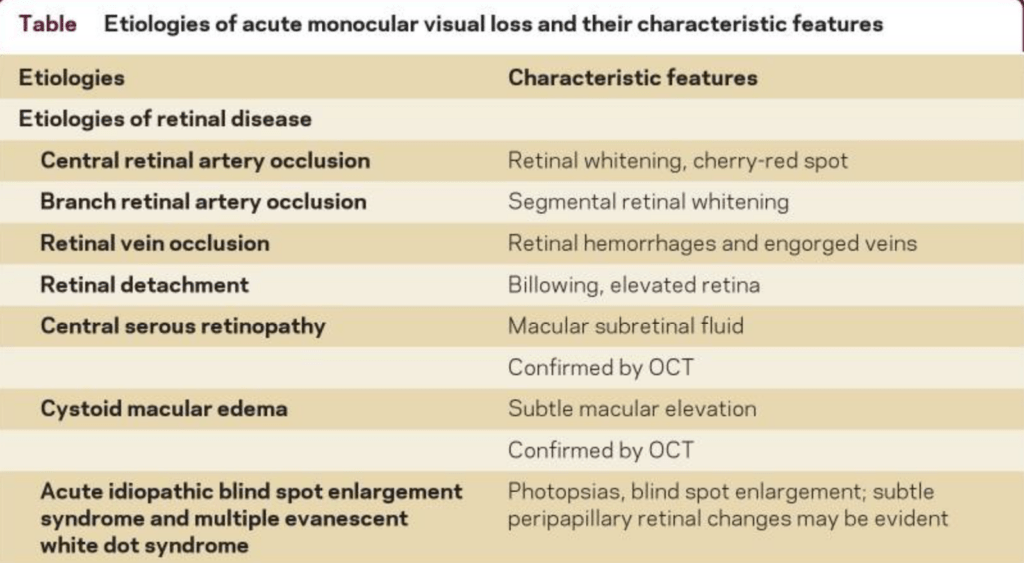 sudden, painless, unilateral vision loss – My notes