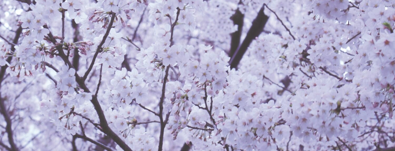 WETFLAG – My GP Notes