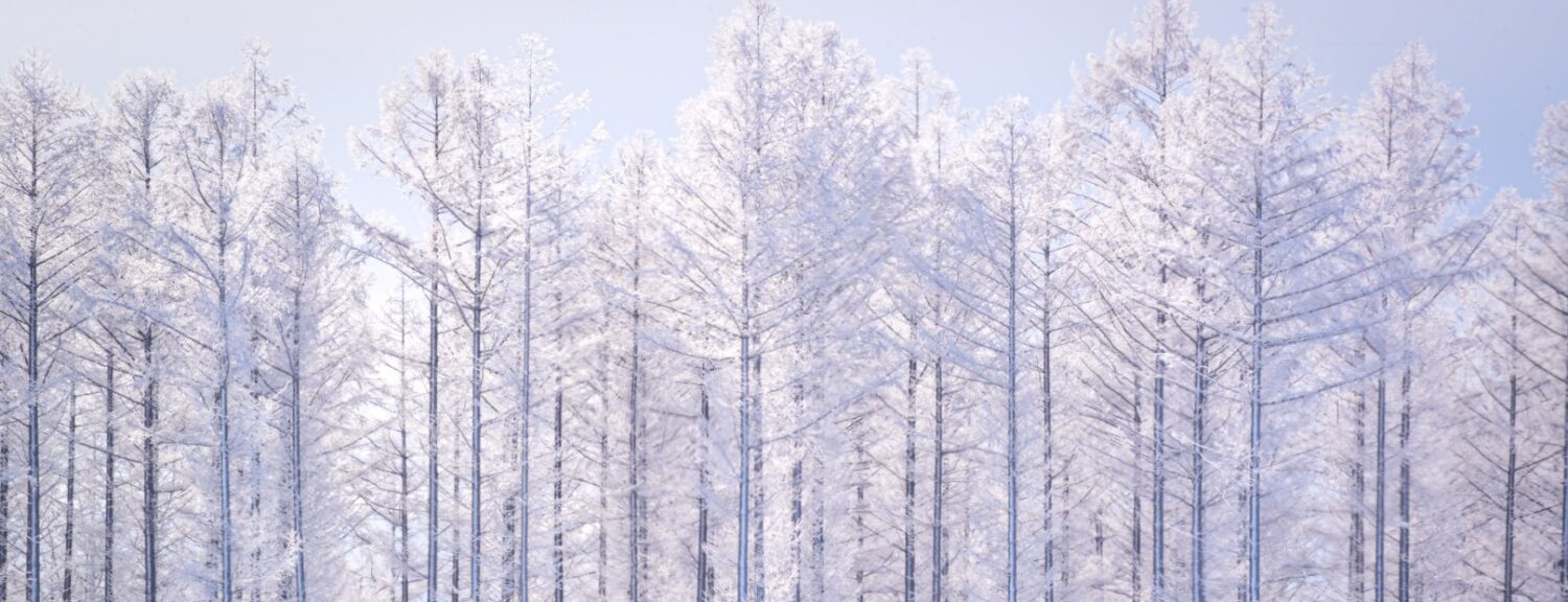 Erythema Multiforme – My GP Notes