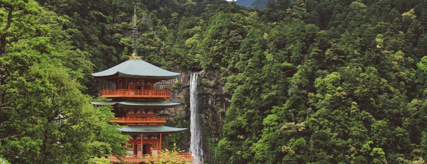 Domain – Cardiovascular health (case) – My GP Notes